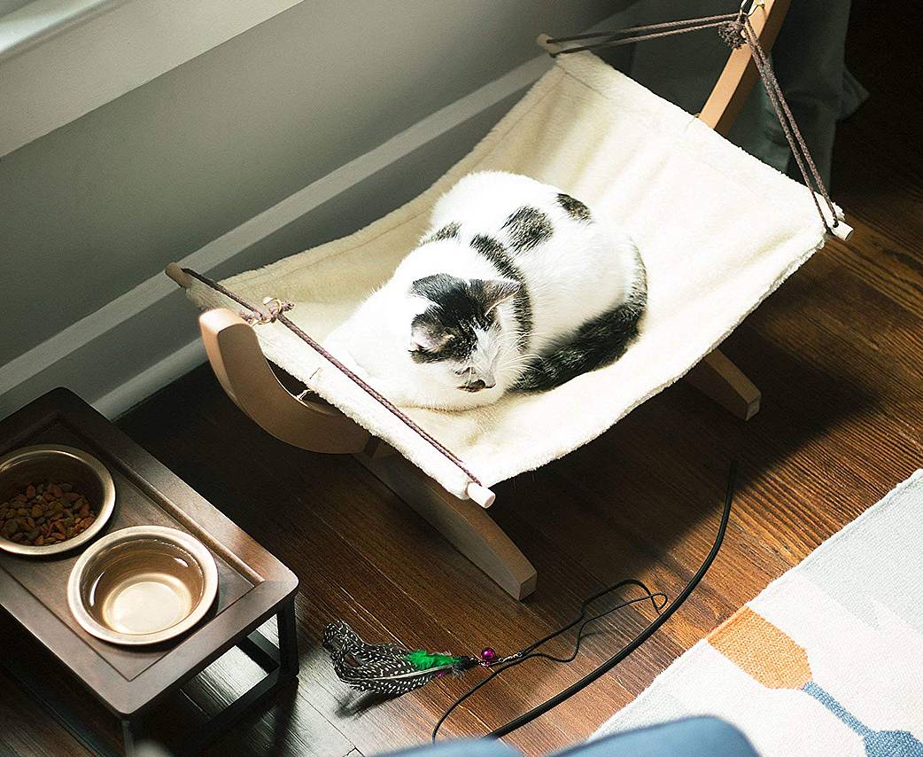 Las Mejores Hamacas Para Gatos De 2019 (Guía Y Análisis)