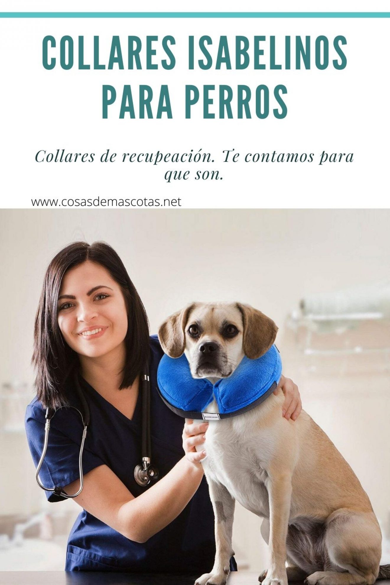 Mejores Collares Isabelinos Para Perros De 2026 (análisis)